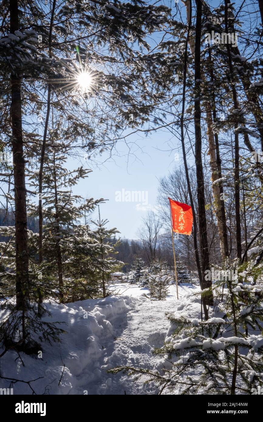 Harbin ice and snow world park hi-res stock photography and images - Alamy