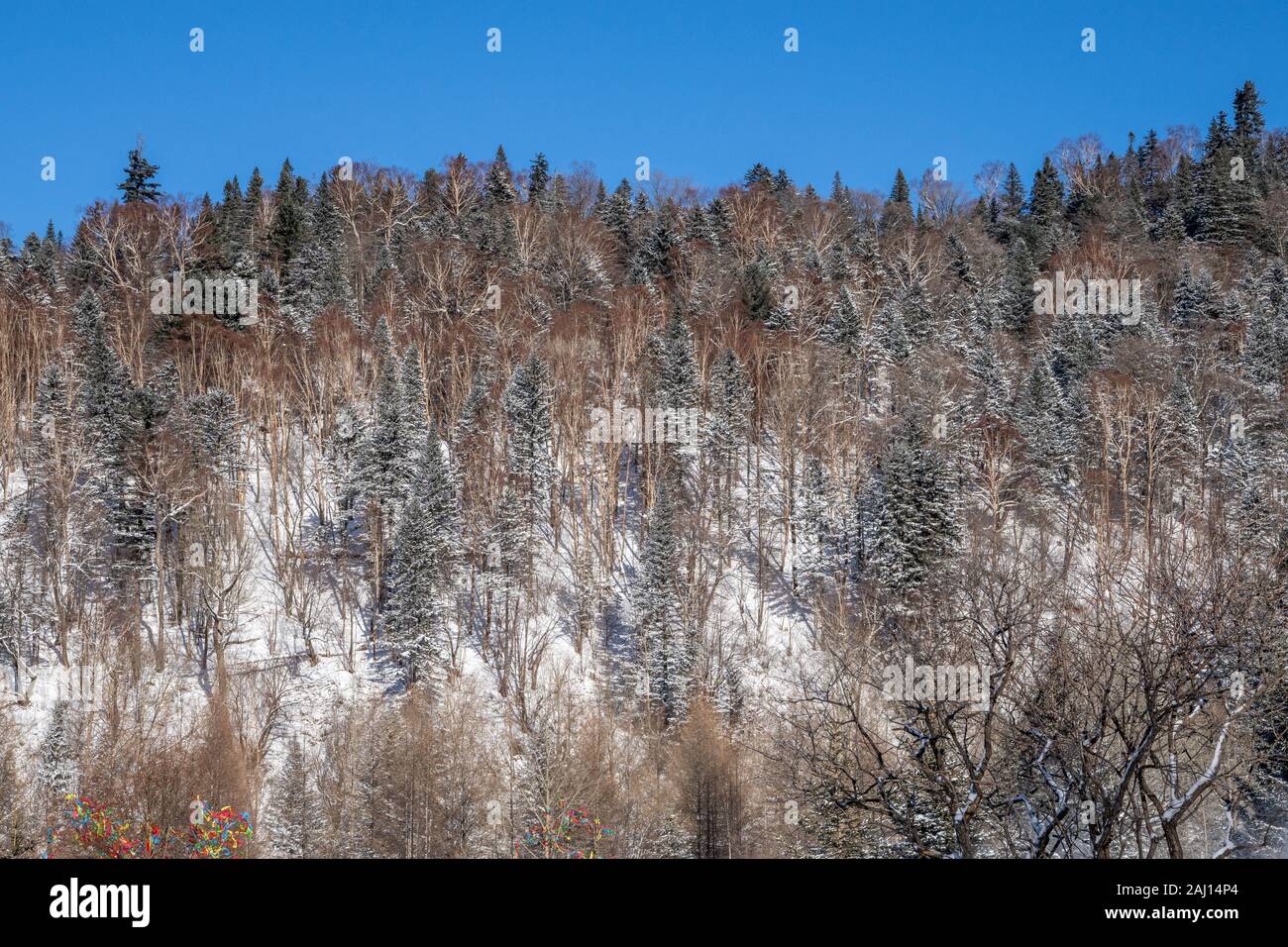 Chinas snowy beauty hi-res stock photography and images - Alamy