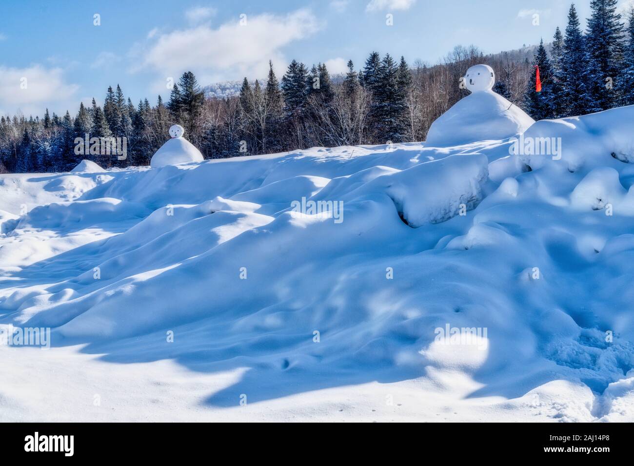 Snowman snow winter snowmen forest hi-res stock photography and images ...