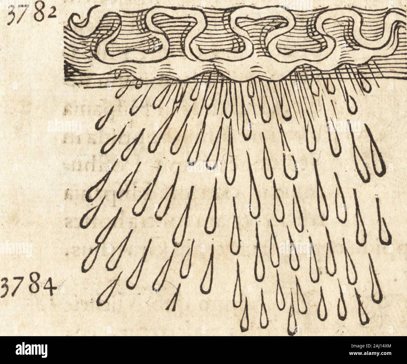 Ludorum High Resolution Stock Photography and Images - Alamy