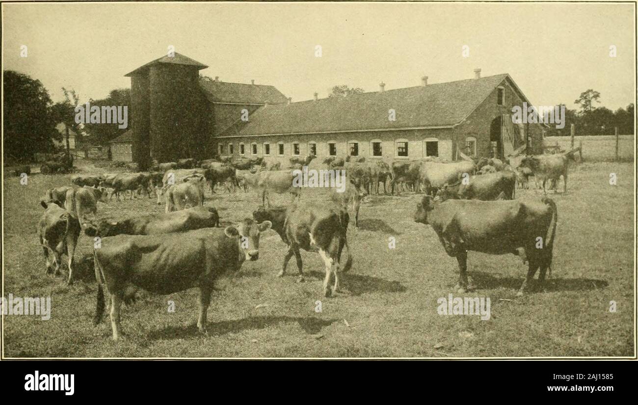 A tick-free South . THIS MISSrSSIPPI SCENE SHOWS THE TYPE OF FARM THAT ...