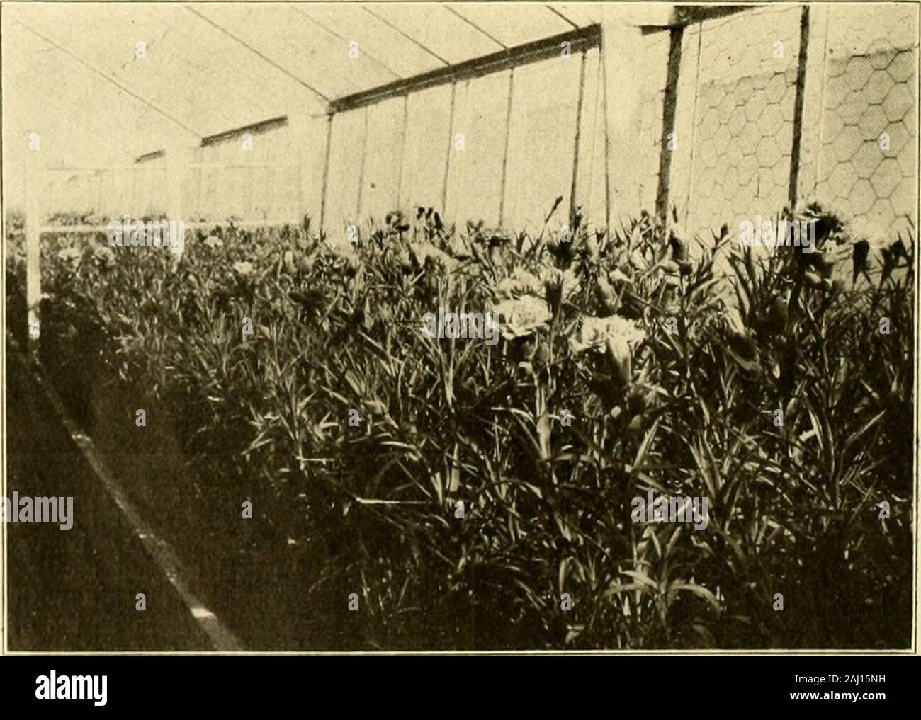 George w kramer hi-res stock photography and images - Alamy