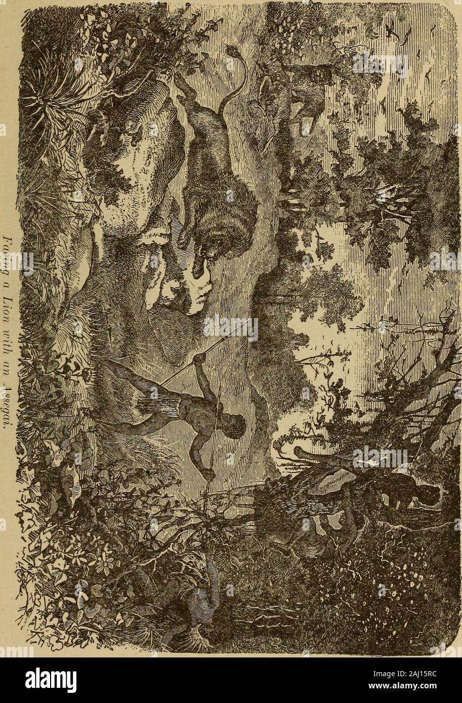 Austrian explorer hi-res stock photography and images - Alamy