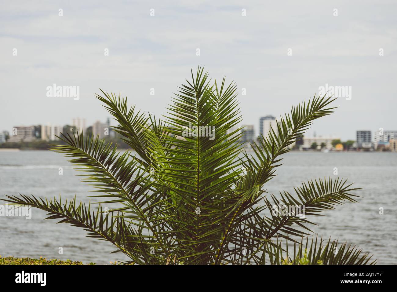 PERTH, AUSTRALIA - December 25th, 2019: Riverside pedestrian walk in ...