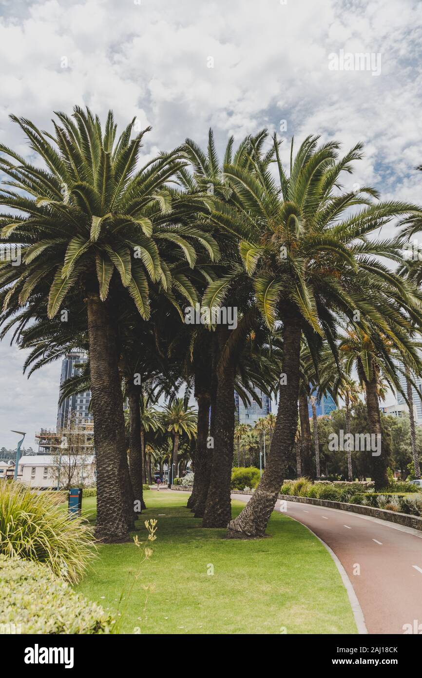 PERTH, AUSTRALIA - December 25th, 2019: Riverside pedestrian walk in ...