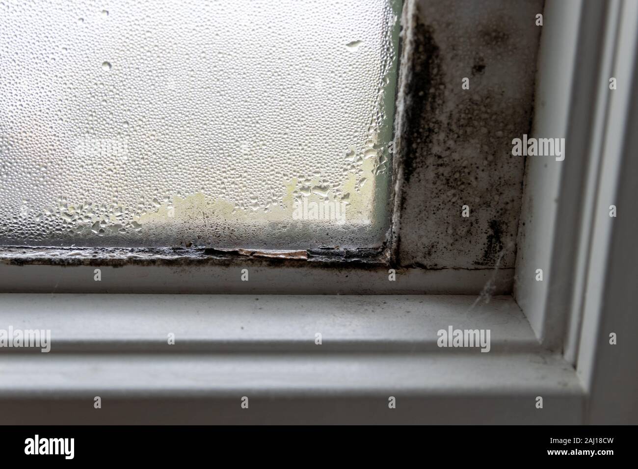 Mold fungus and moist in right corner of window frame and on glass ...