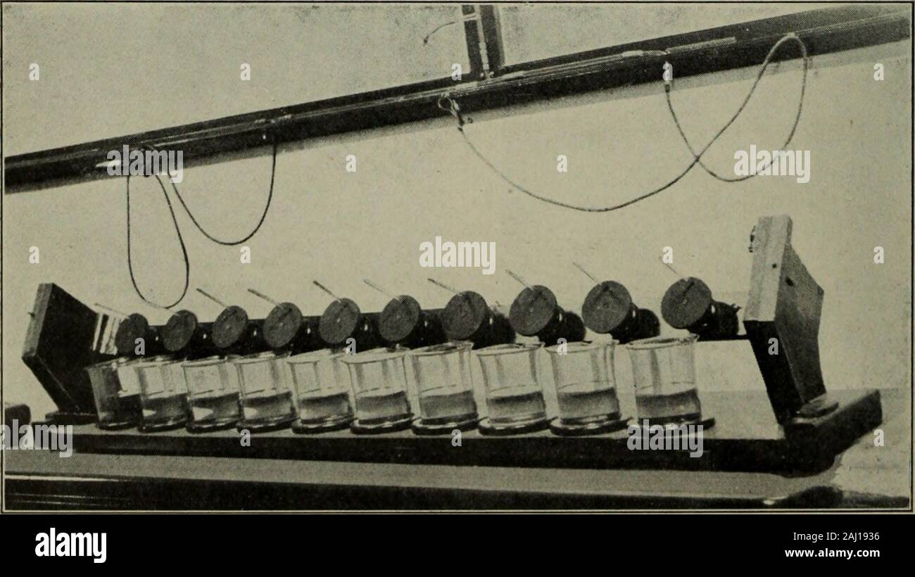 Transactions . Fig. 6.—In position ready for rinsing, after lifting out ...