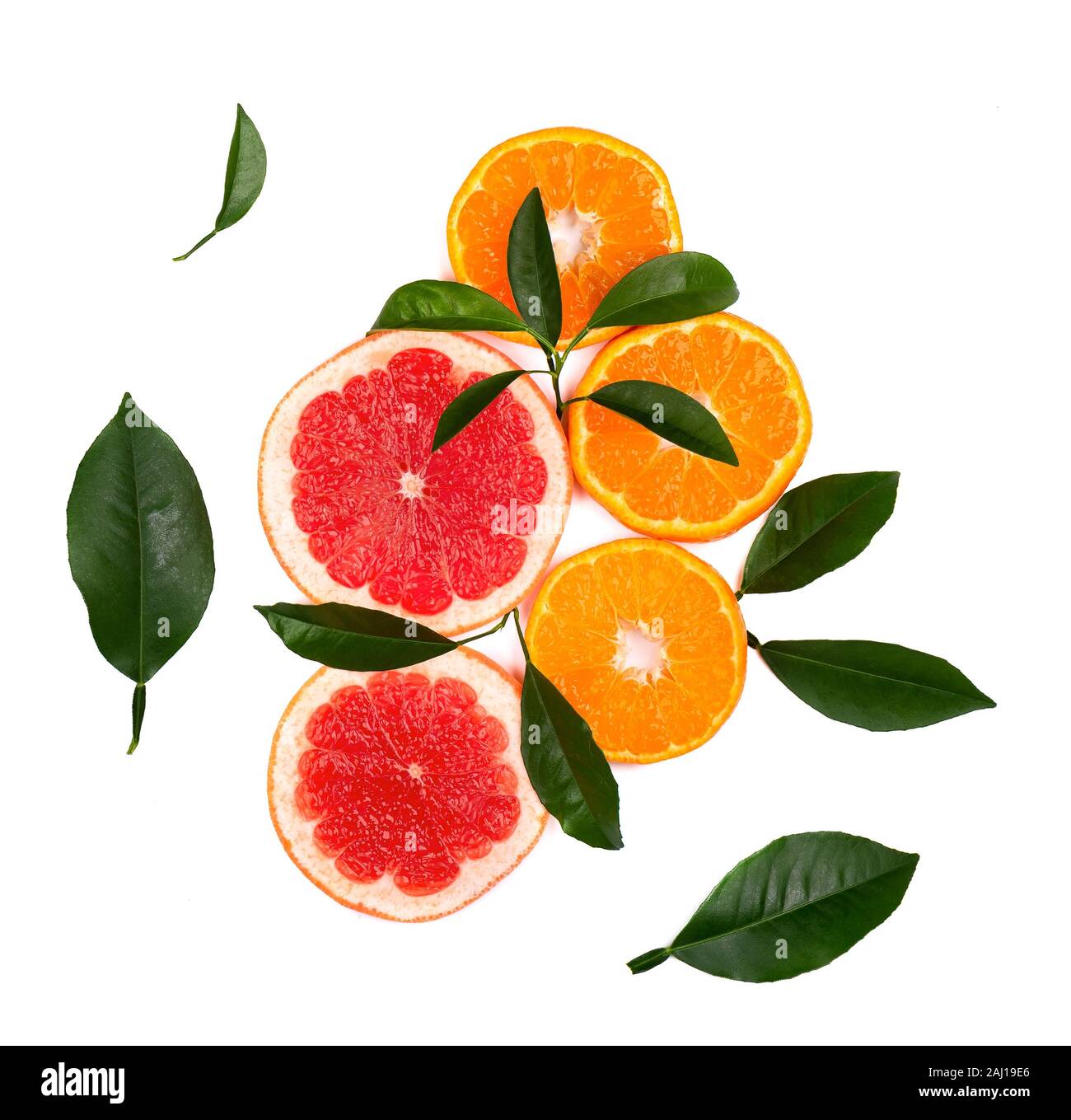 Citrus fruits isolated on white background. Isolated citrus fruits ...