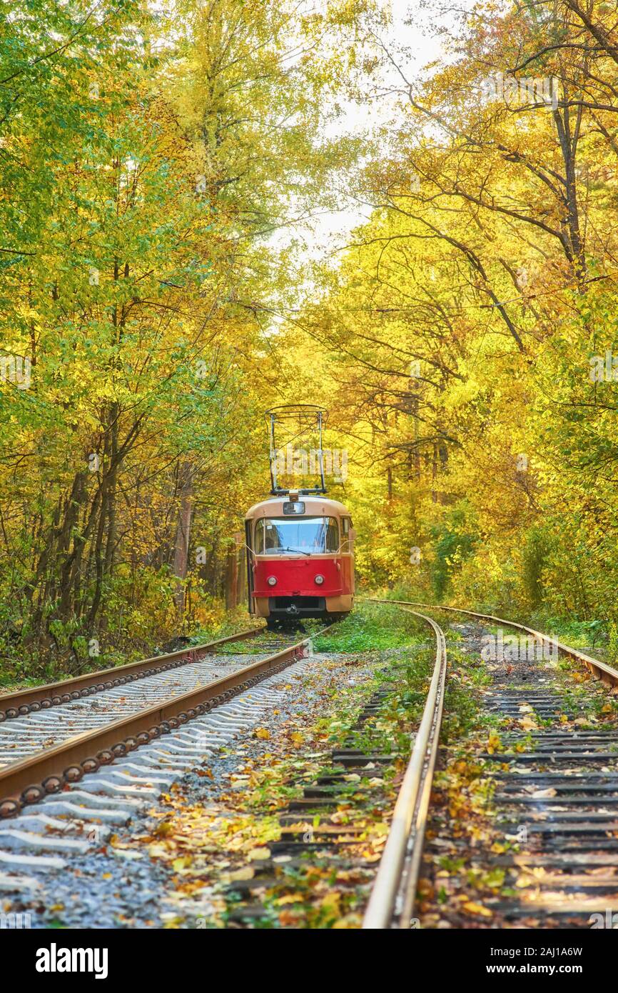 Fall trees along railroad track hi-res stock photography and images - Alamy