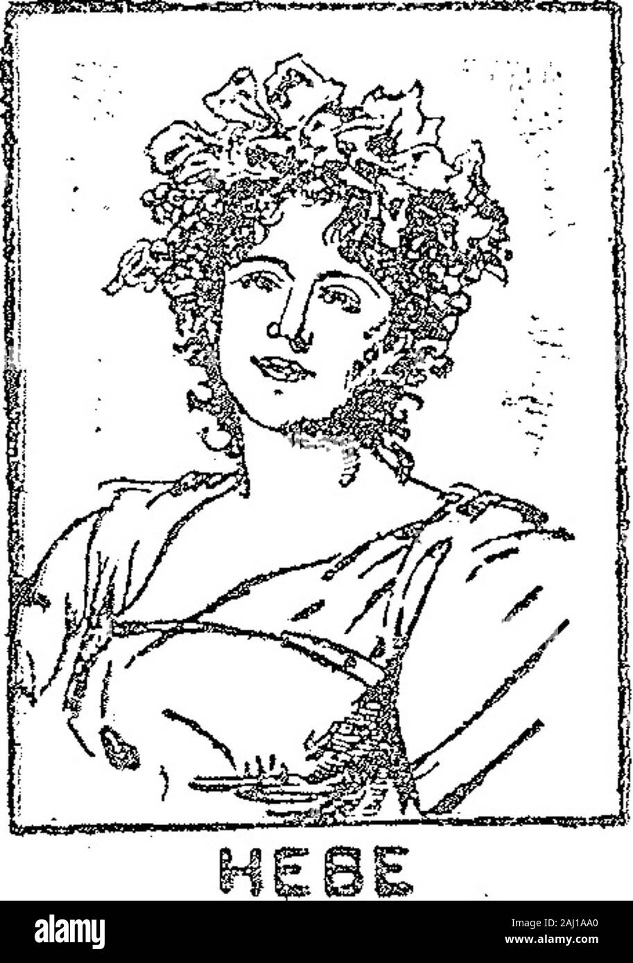 Mariscos conservados Cut Out Stock Images & Pictures - Alamy