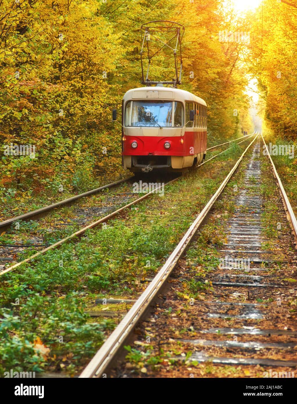Fall trees along railroad track hi-res stock photography and images - Alamy