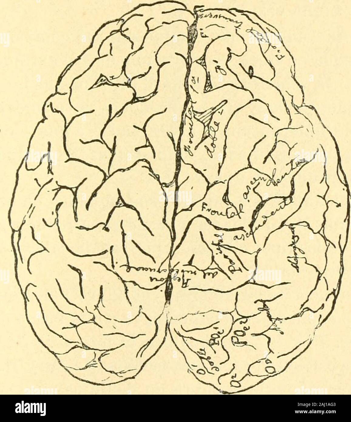 Letras invertidas hi-res stock photography and images - Alamy