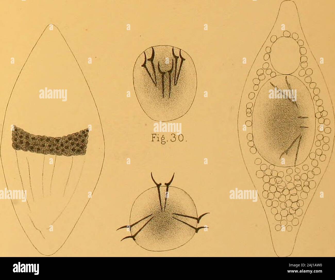 Litht hi-res stock photography and images - Alamy