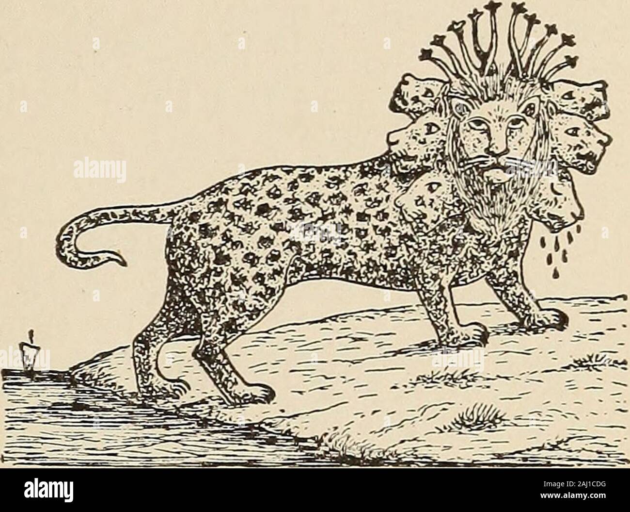 The Book of Revelation ; a study of the last prophetic book of Holy ...