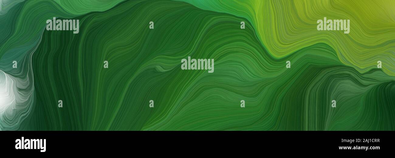 horizontal background banner with forest green, olive drab and ash gray ...