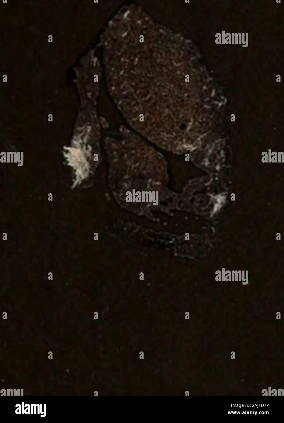 Sanitary standpoint hi-res stock photography and images - Alamy