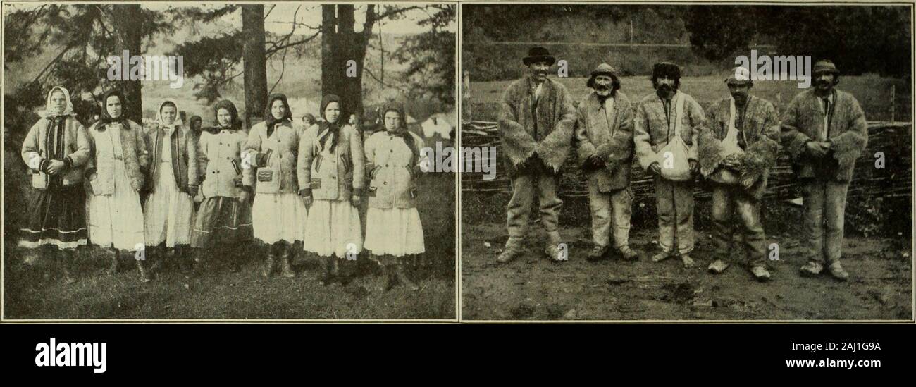 Hungarian gypsies hi-res stock photography and images - Alamy