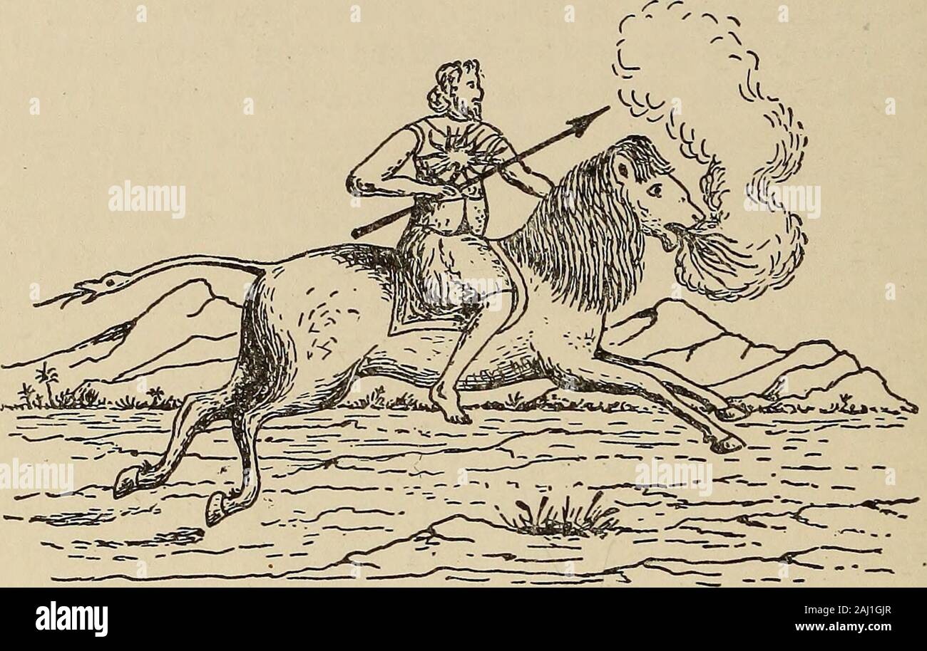 The Book of Revelation ; a study of the last prophetic book of Holy ...