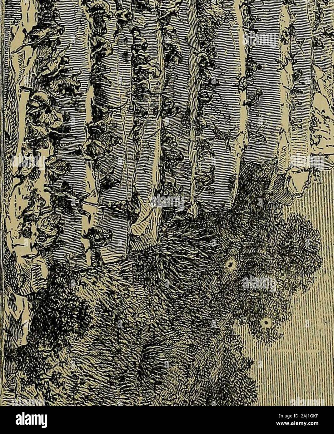 Cameron fellows hi-res stock photography and images - Alamy