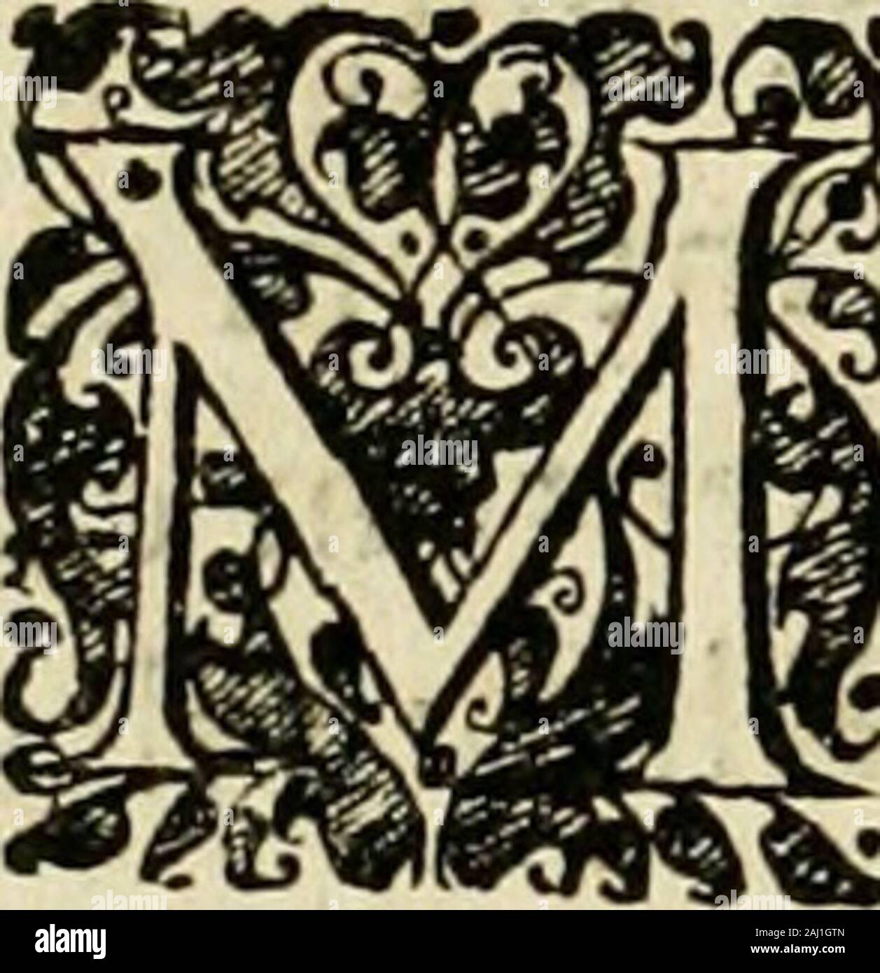 Noneo hi-res stock photography and images - Alamy