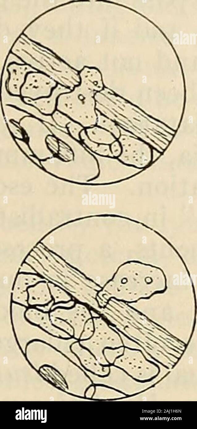 Modern surgery, general and operative Stock Photo - Alamy