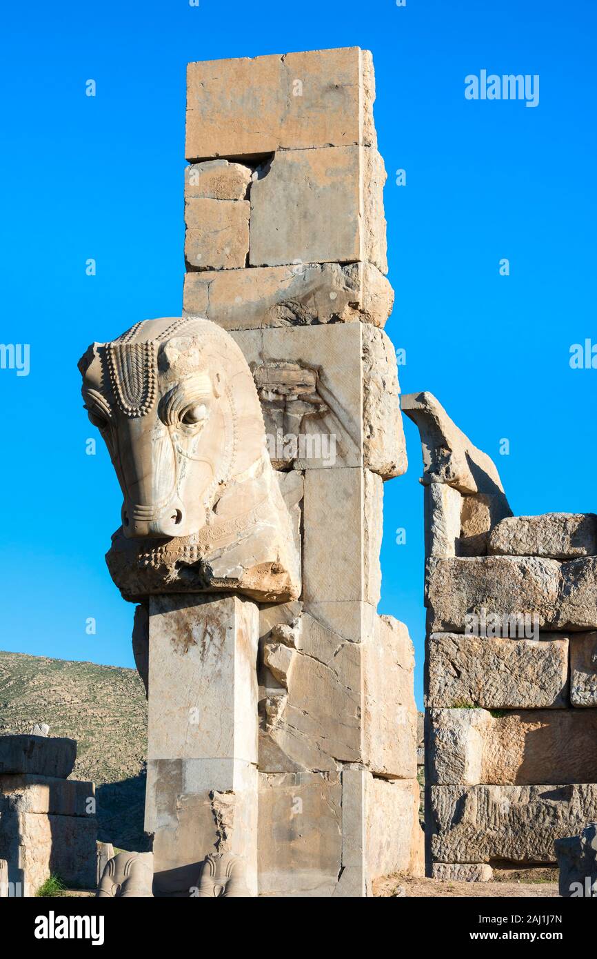 Iran persepolis horse hi-res stock photography and images - Alamy
