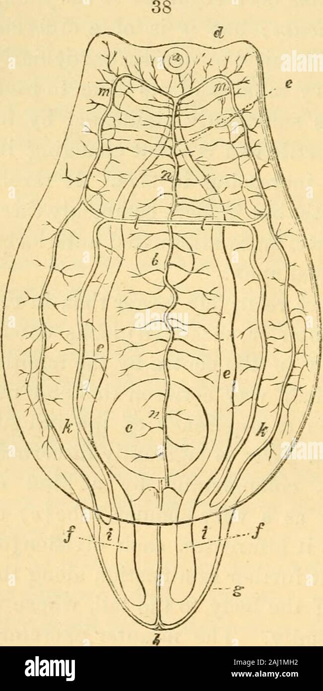 Chyle hi-res stock photography and images - Alamy