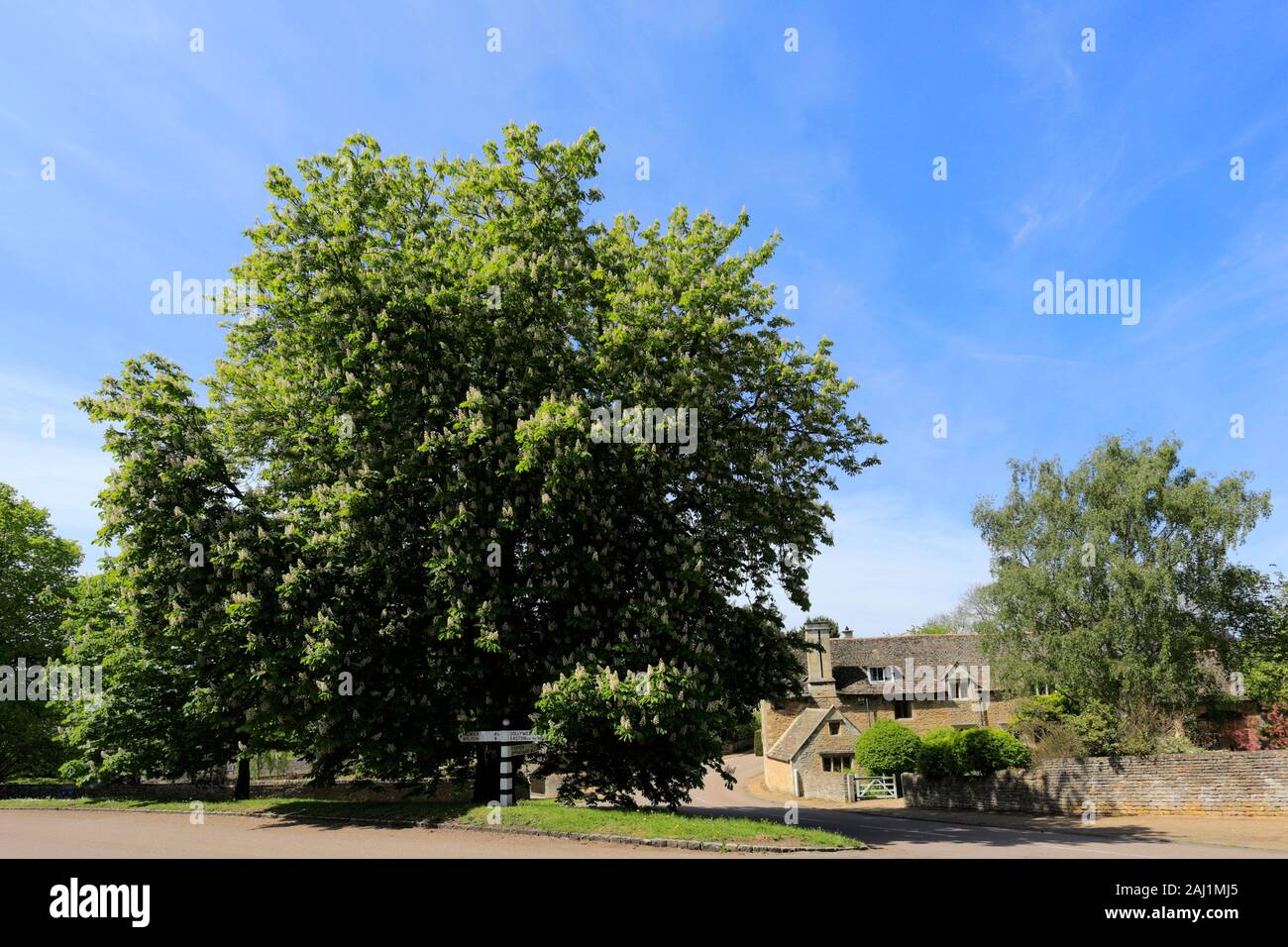 Summer view of the village green, Duddington village, Northamptonshire ...