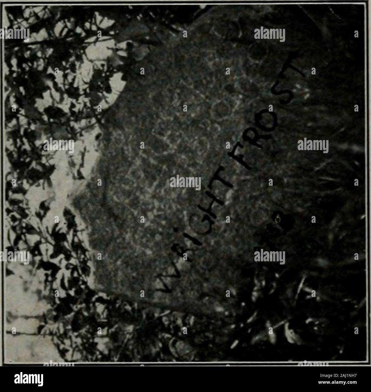 Adam pryer hi-res stock photography and images - Alamy