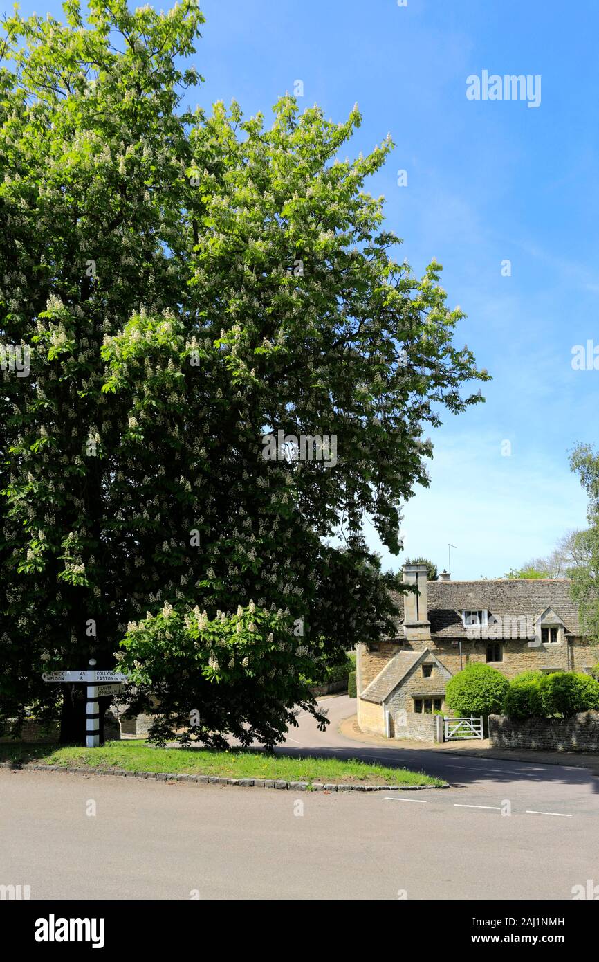 Summer view of the village green, Duddington village, Northamptonshire ...