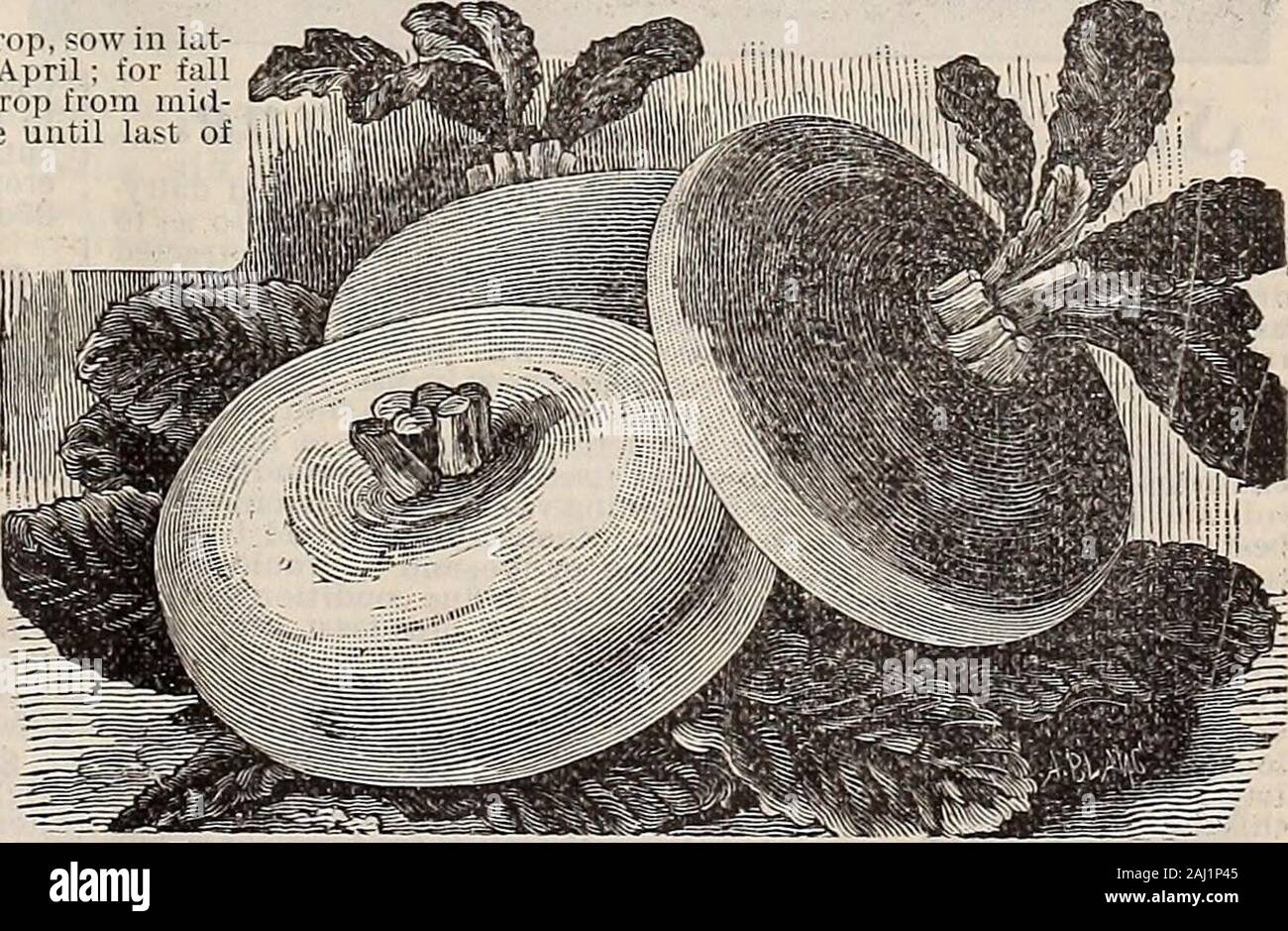 G glob hi-res stock photography and images - Alamy