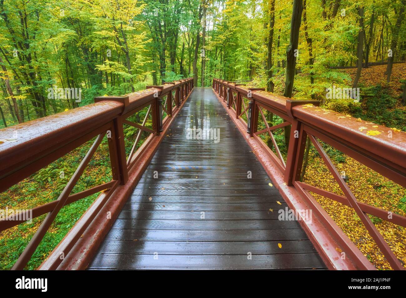 Amazon rainforest brazil bridge hi-res stock photography and images - Alamy