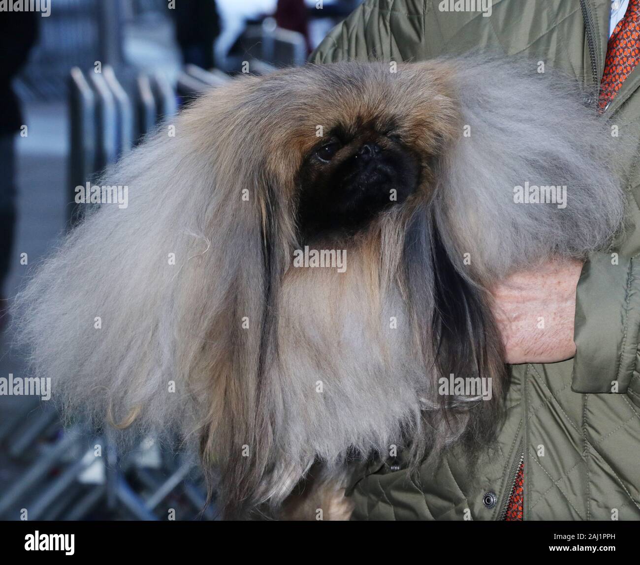 David Fitzpatrick High Resolution Stock Photography and Images - Alamy