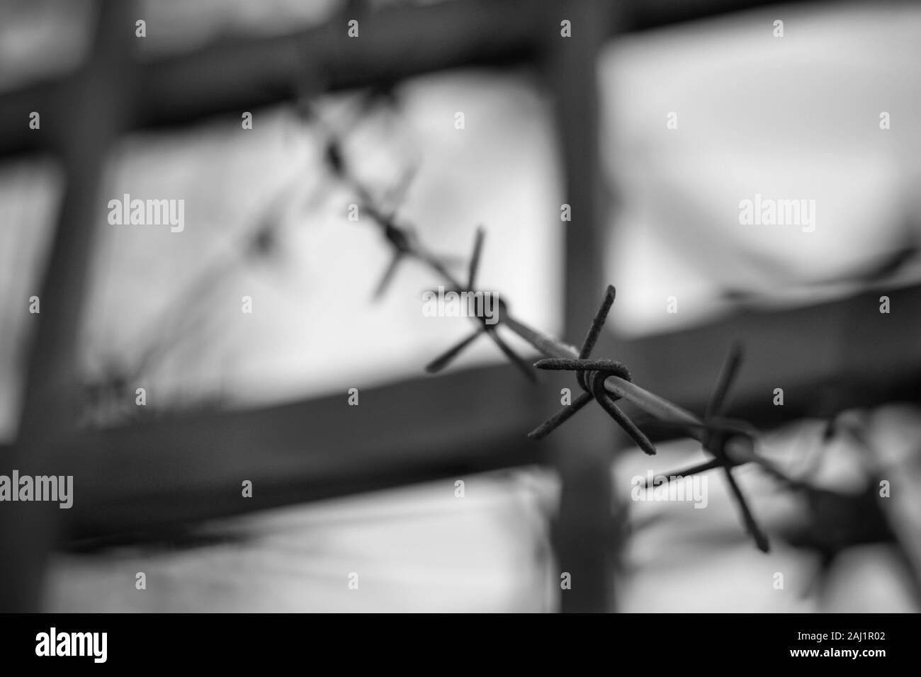String barbed wire Black and White Stock Photos & Images - Alamy