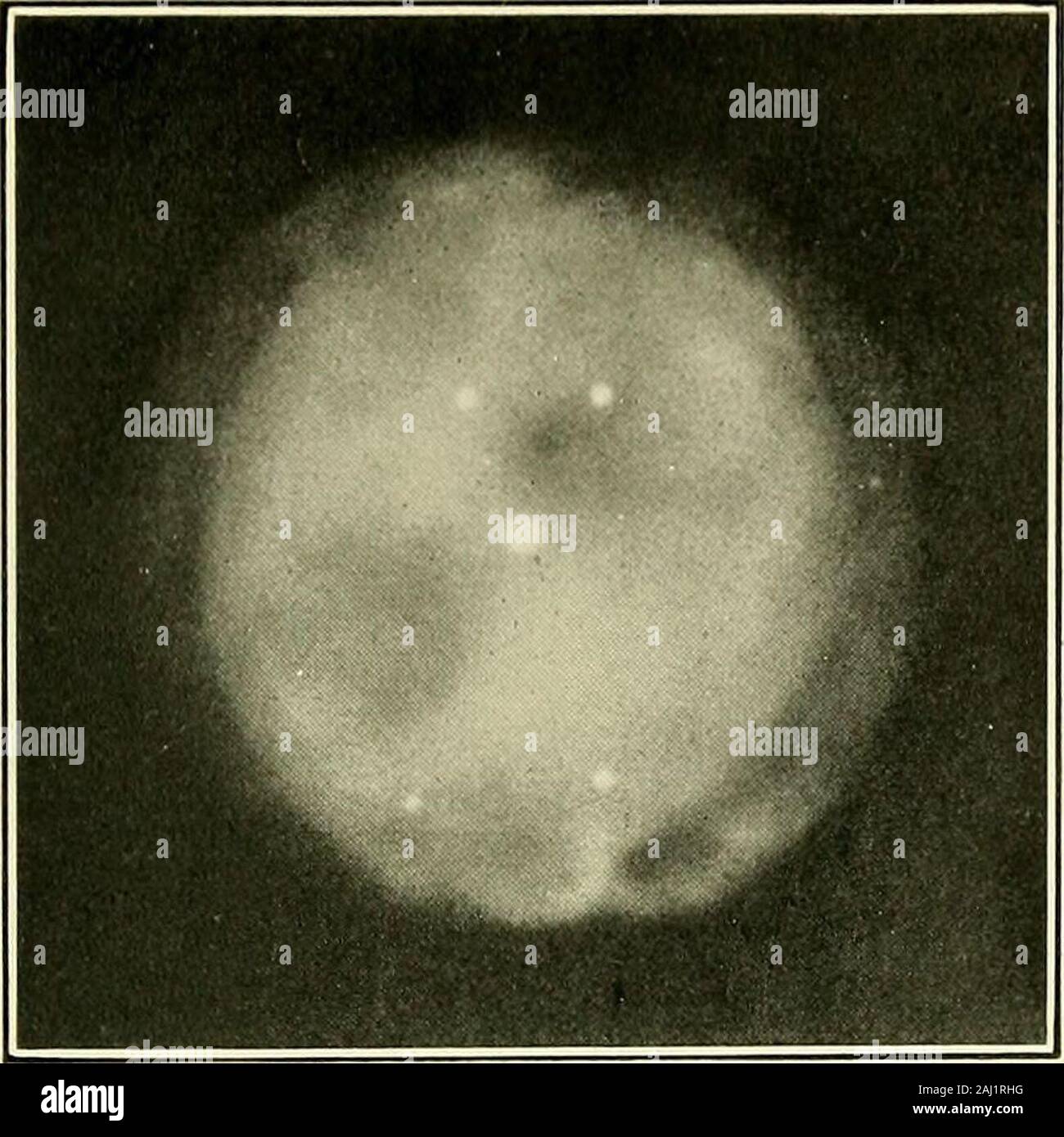Hunting dogs constellation hi-res stock photography and images - Alamy