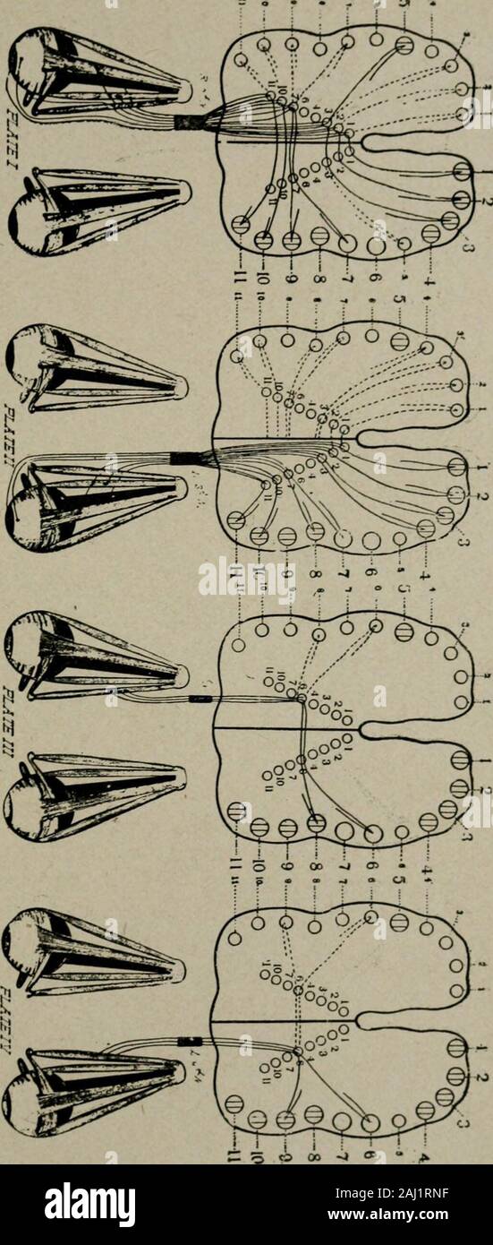 Cardinal axes hi-res stock photography and images - Alamy