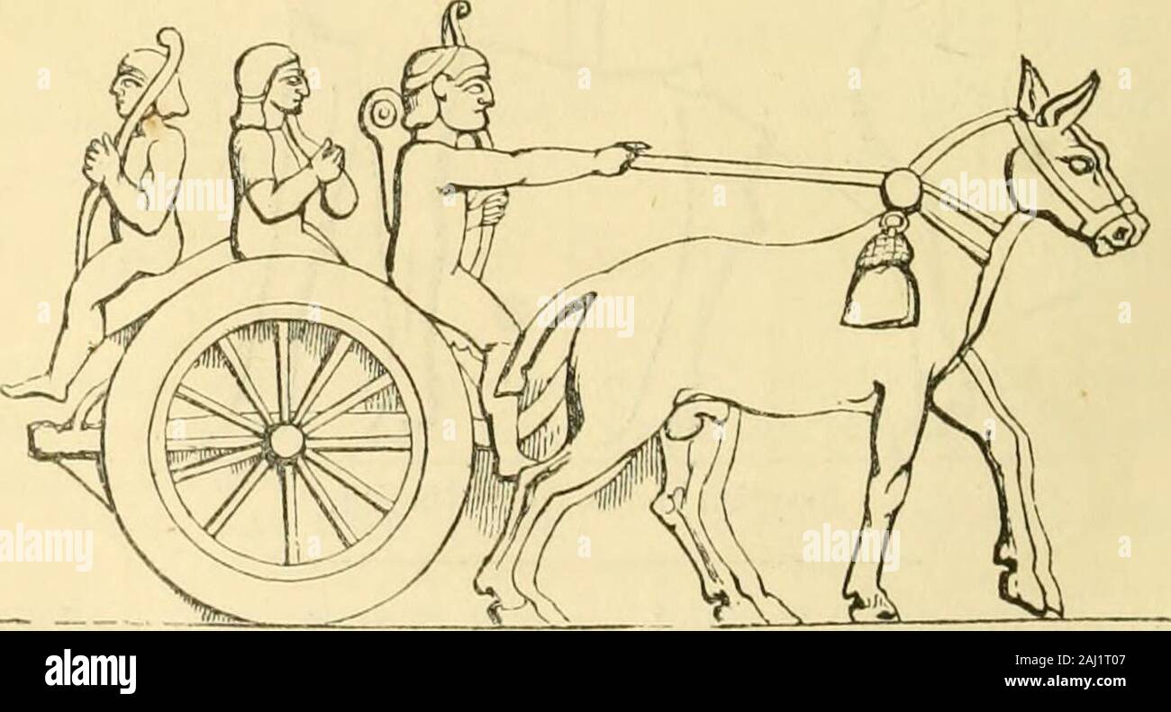 Drawn by mules assyria hi-res stock photography and images - Alamy