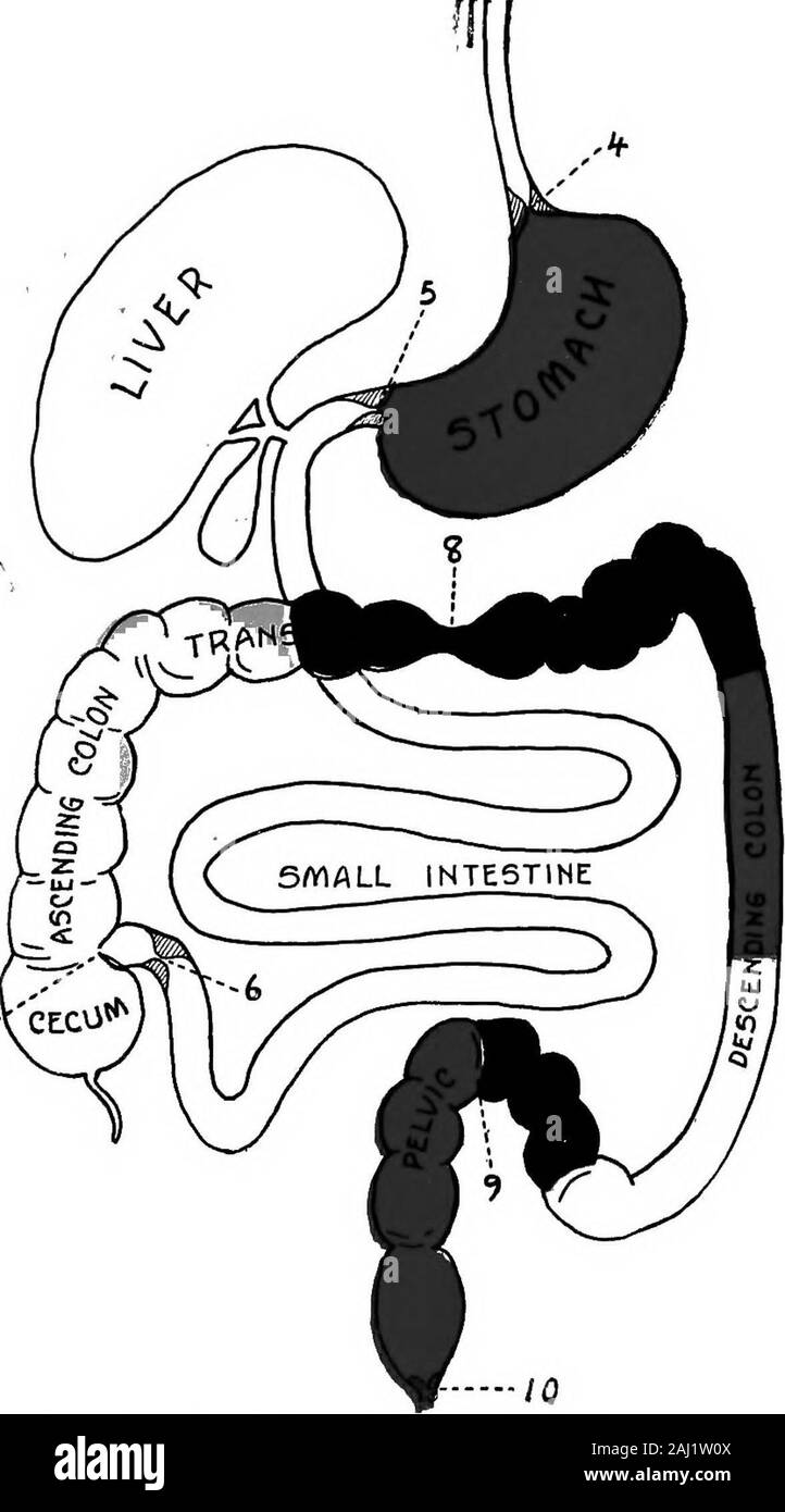 Motility tube Black and White Stock Photos & Images - Alamy
