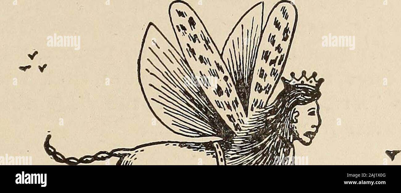 The Book of Revelation ; a study of the last prophetic book of Holy ...