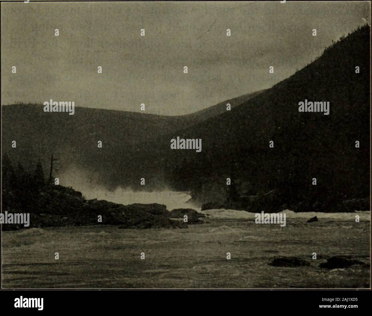 Sheppard and leslie hi-res stock photography and images - Alamy