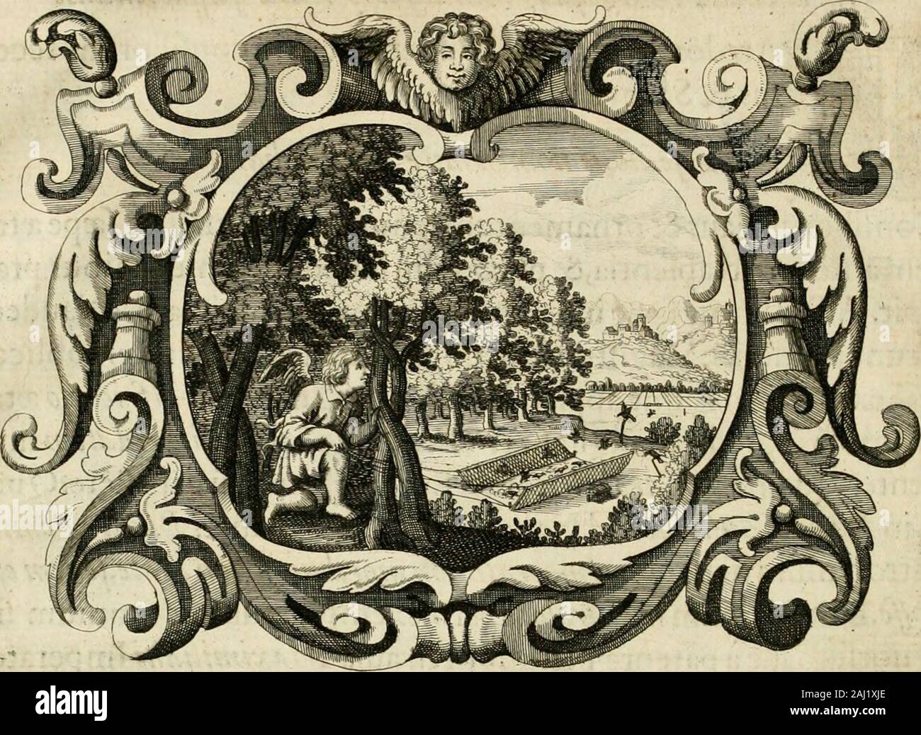 Arce co hi-res stock photography and images - Alamy