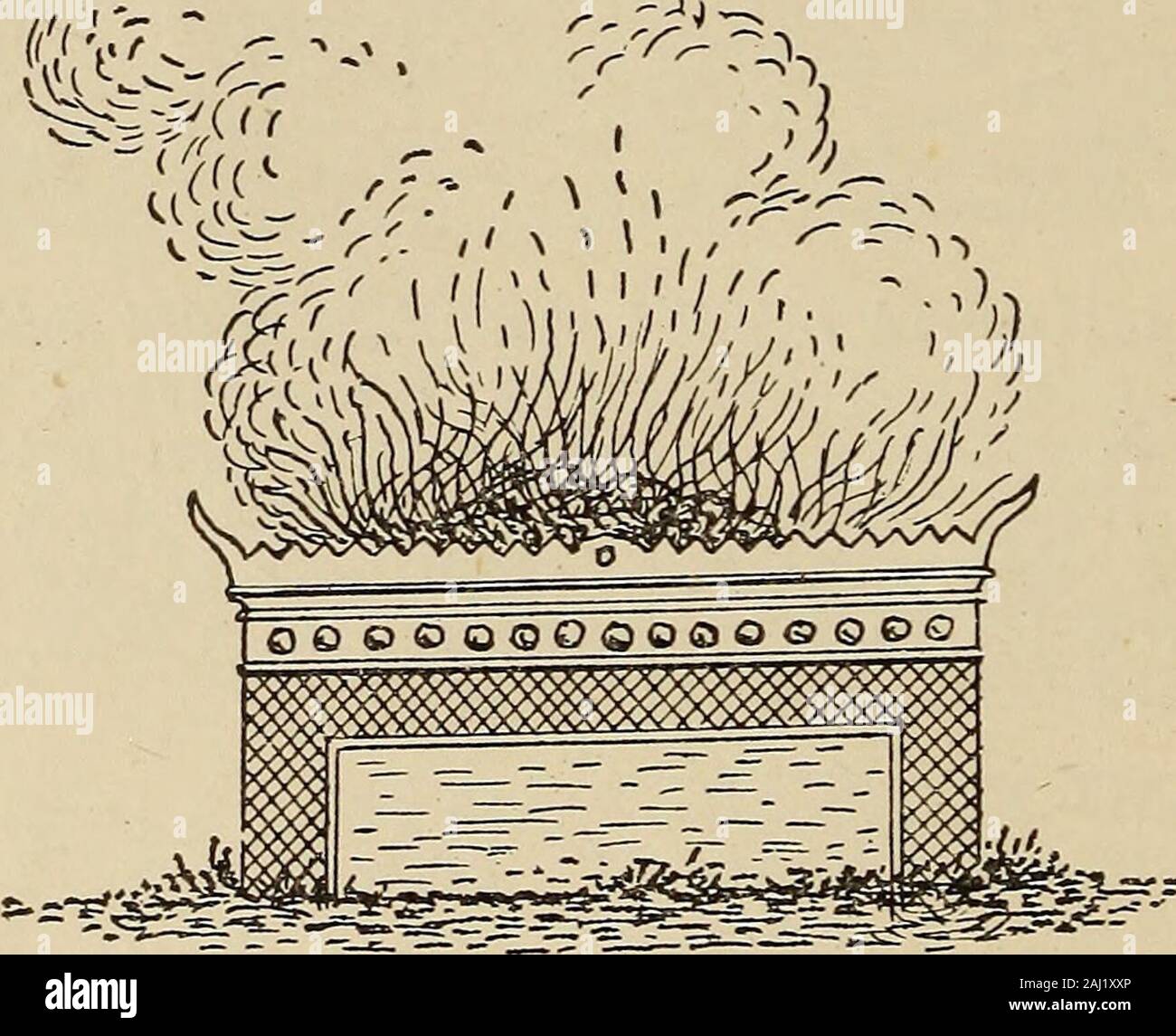 Slain lamb hi-res stock photography and images - Alamy