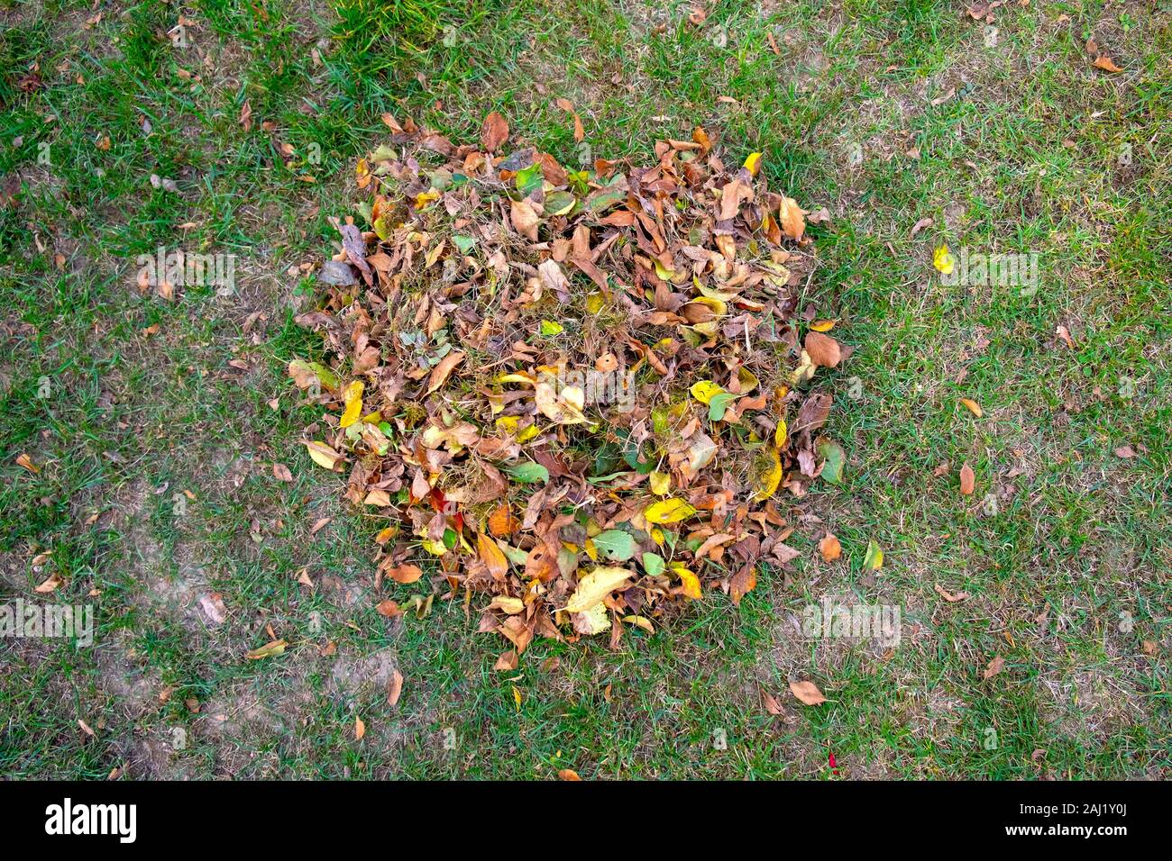 Bucket leaves hi-res stock photography and images - Alamy