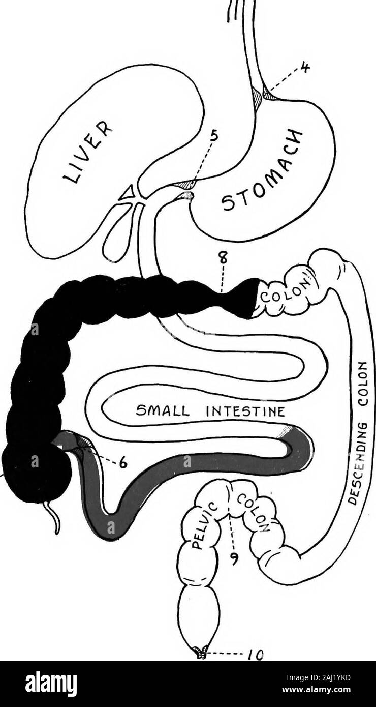 Reservoir loop Cut Out Stock Images & Pictures - Alamy