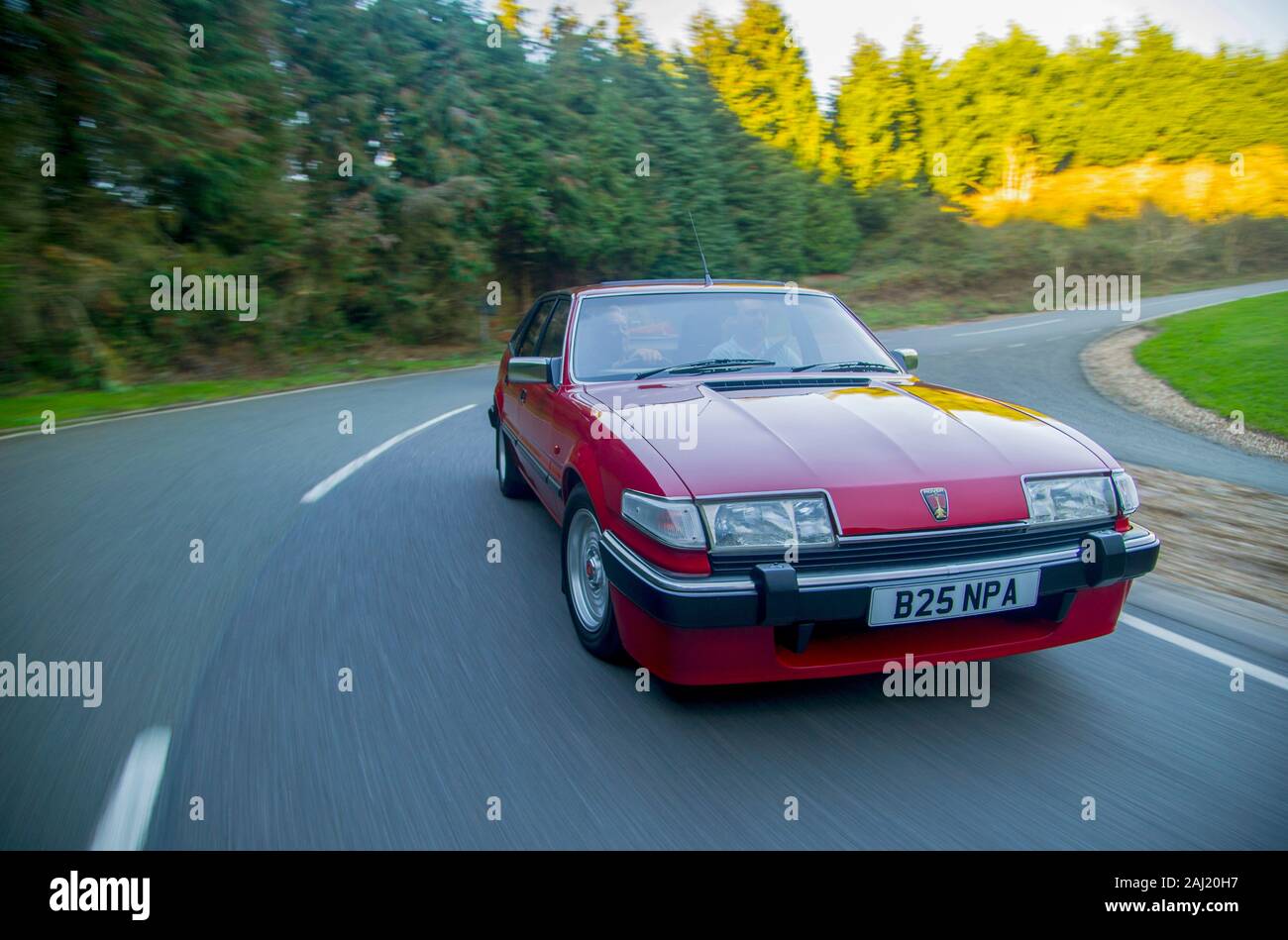 1985 Rover SD1 V8 Vitesse classic British executive car Stock Photo - Alamy