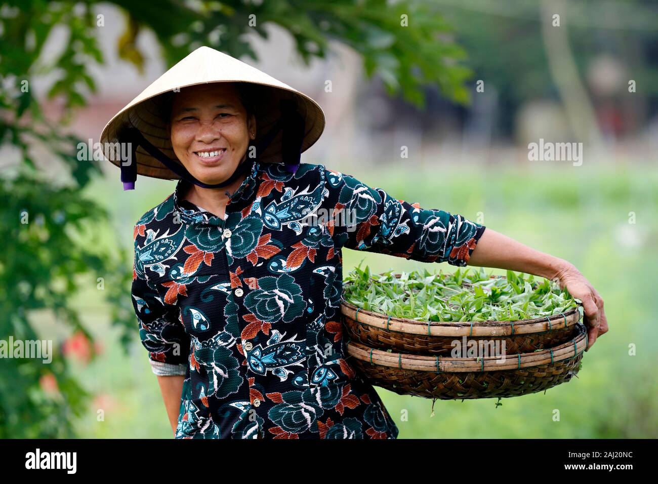 Palm leaf conical hat hi-res stock photography and images - Alamy