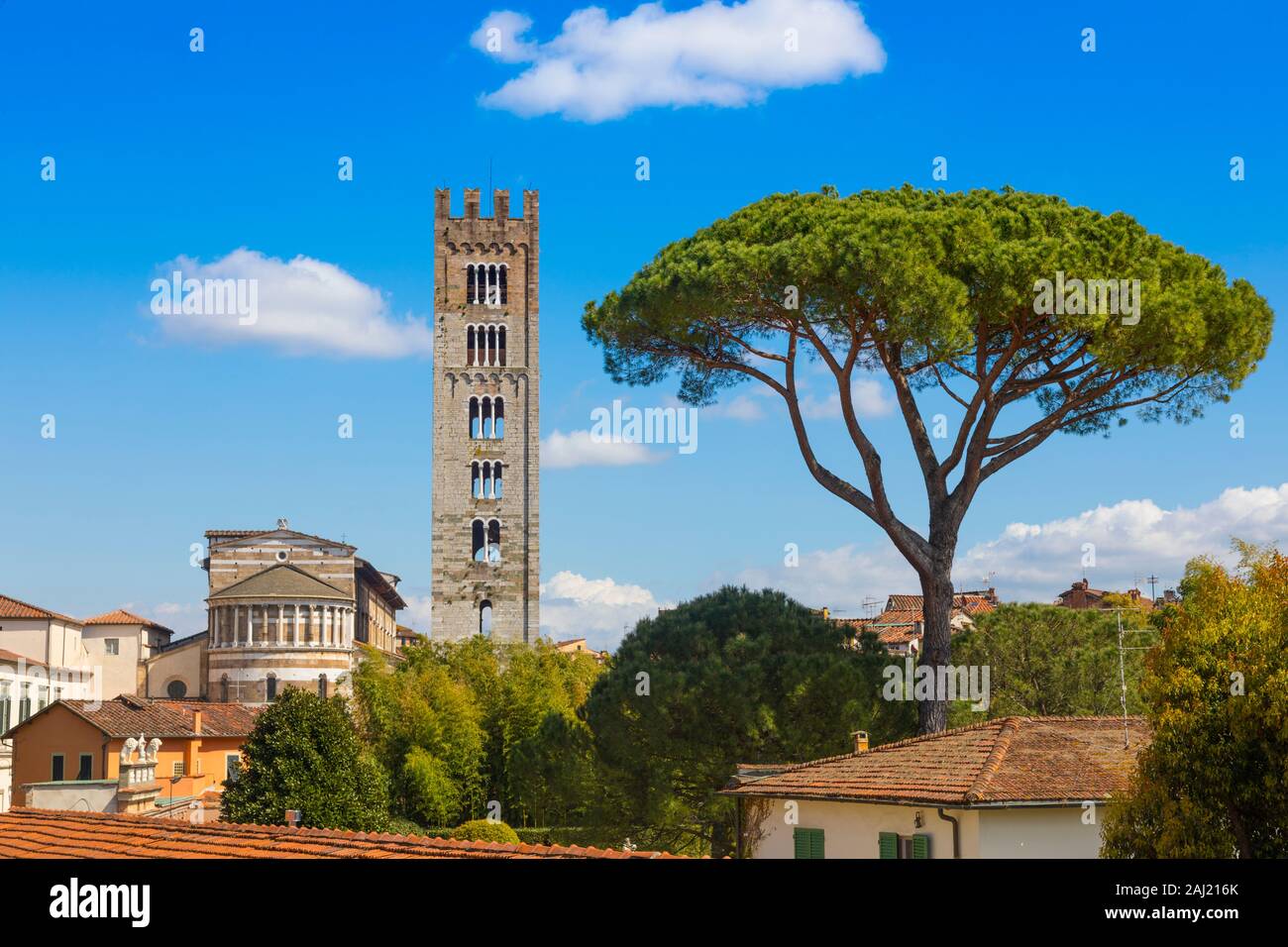 Lucca towers hi-res stock photography and images - Alamy