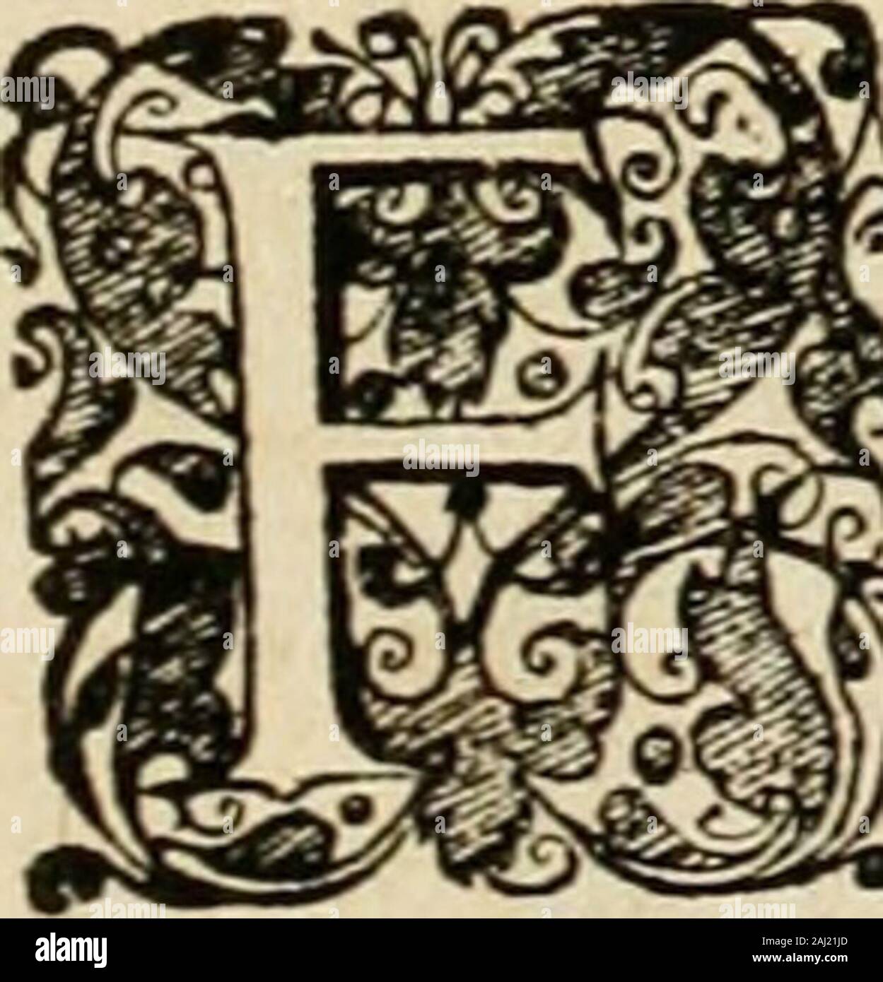 Philippi iv hi-res stock photography and images - Alamy