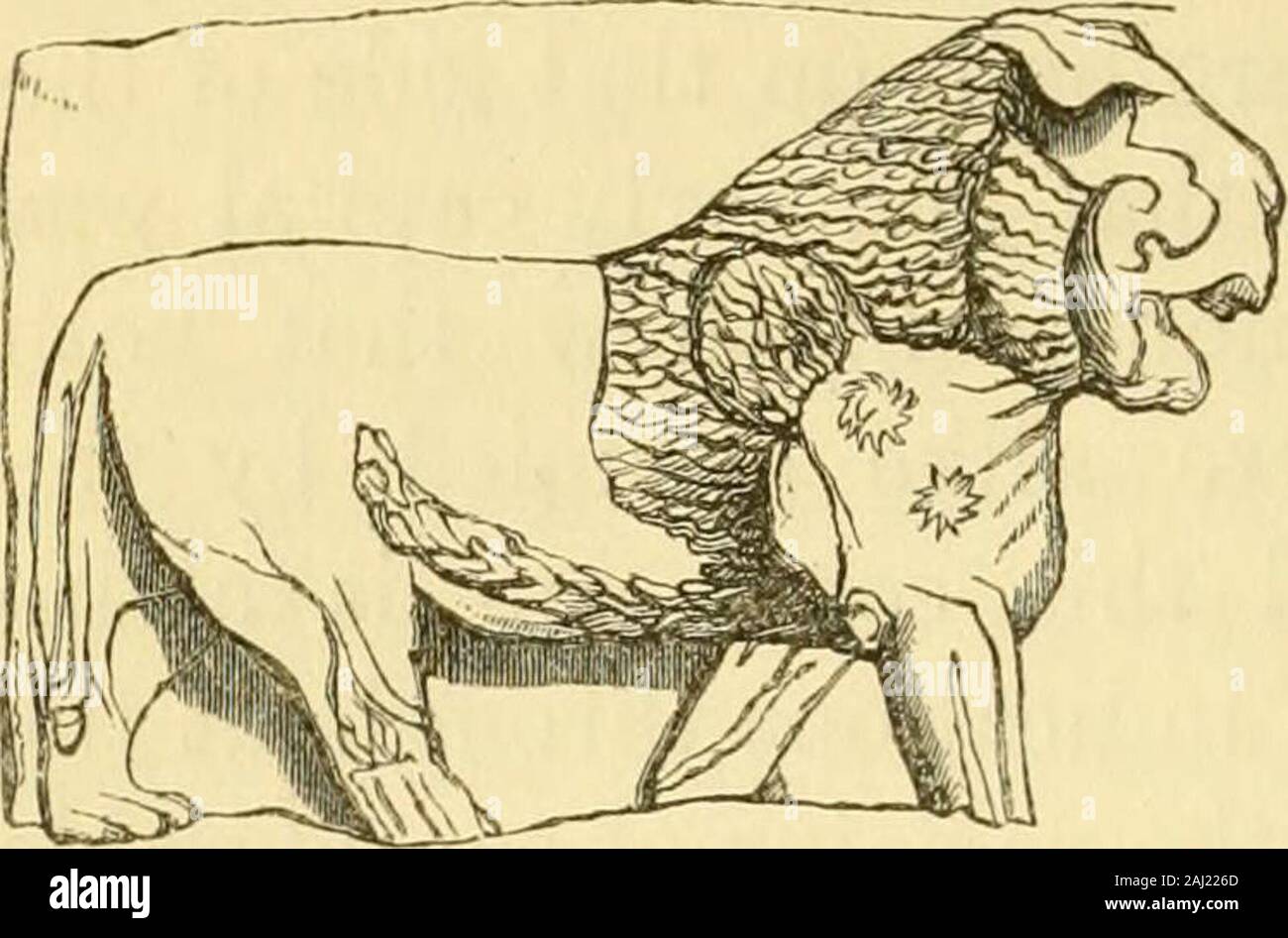 Fraph hi-res stock photography and images - Alamy