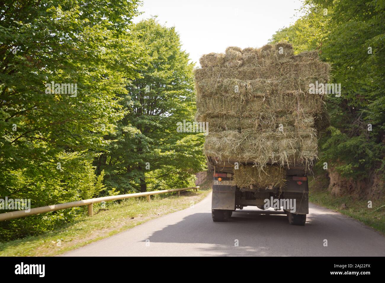 After the harvest. Early autumn. The truck is carrying hay. hay carrier ...